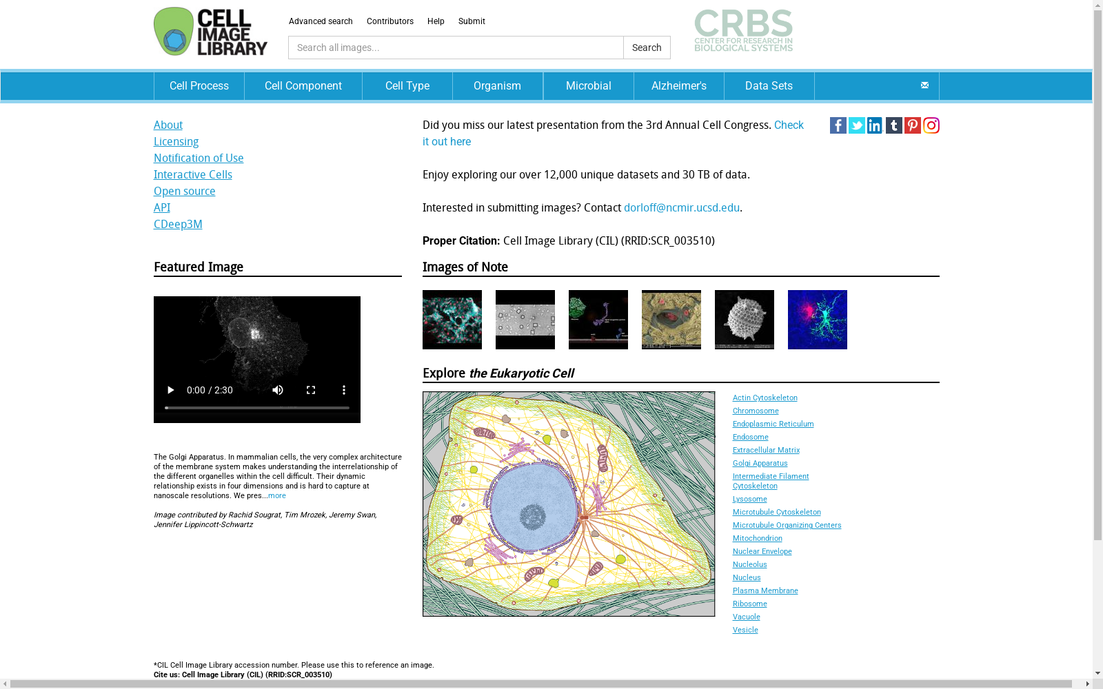 Cell Image Library|细胞生物学数据集|生物图像数据集
