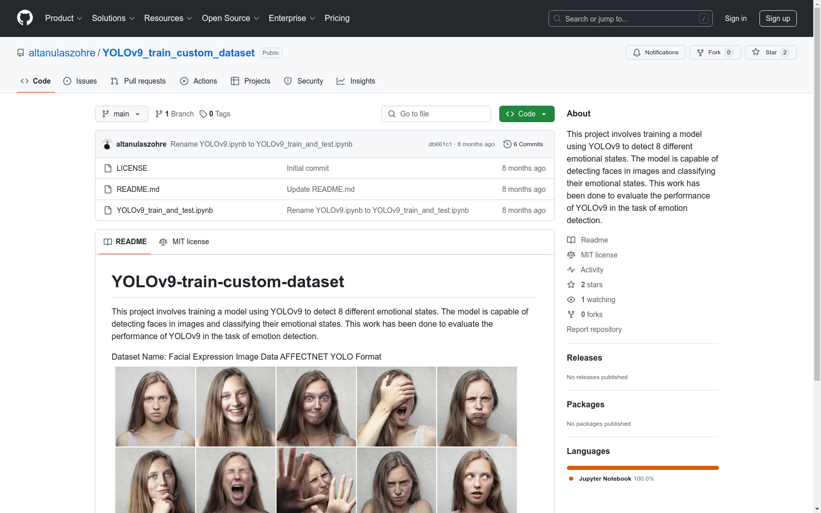 Facial Expression Image Data AFFECTNET YOLO Format|面部表情识别数据集|情感分析数据集
