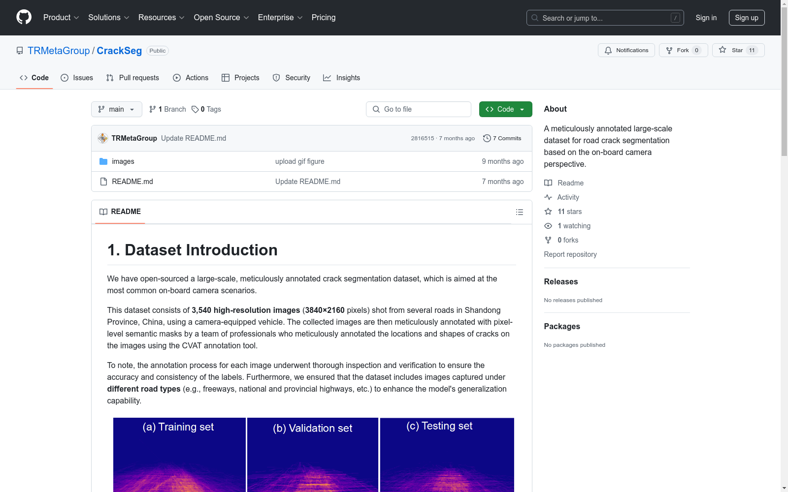 crack segmentation dataset|道路裂缝检测数据集|图像分割数据集