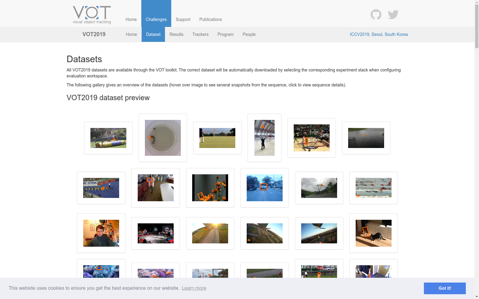 VOT-RGBT-T|视觉目标跟踪数据集|RGB-T图像数据集