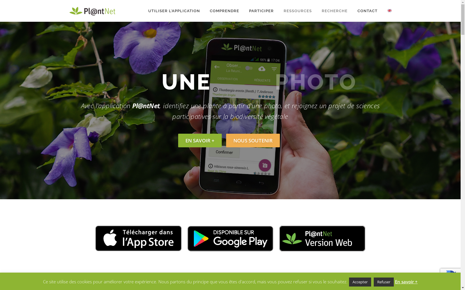 Pl@ntNet|植物识别数据集|图像处理数据集