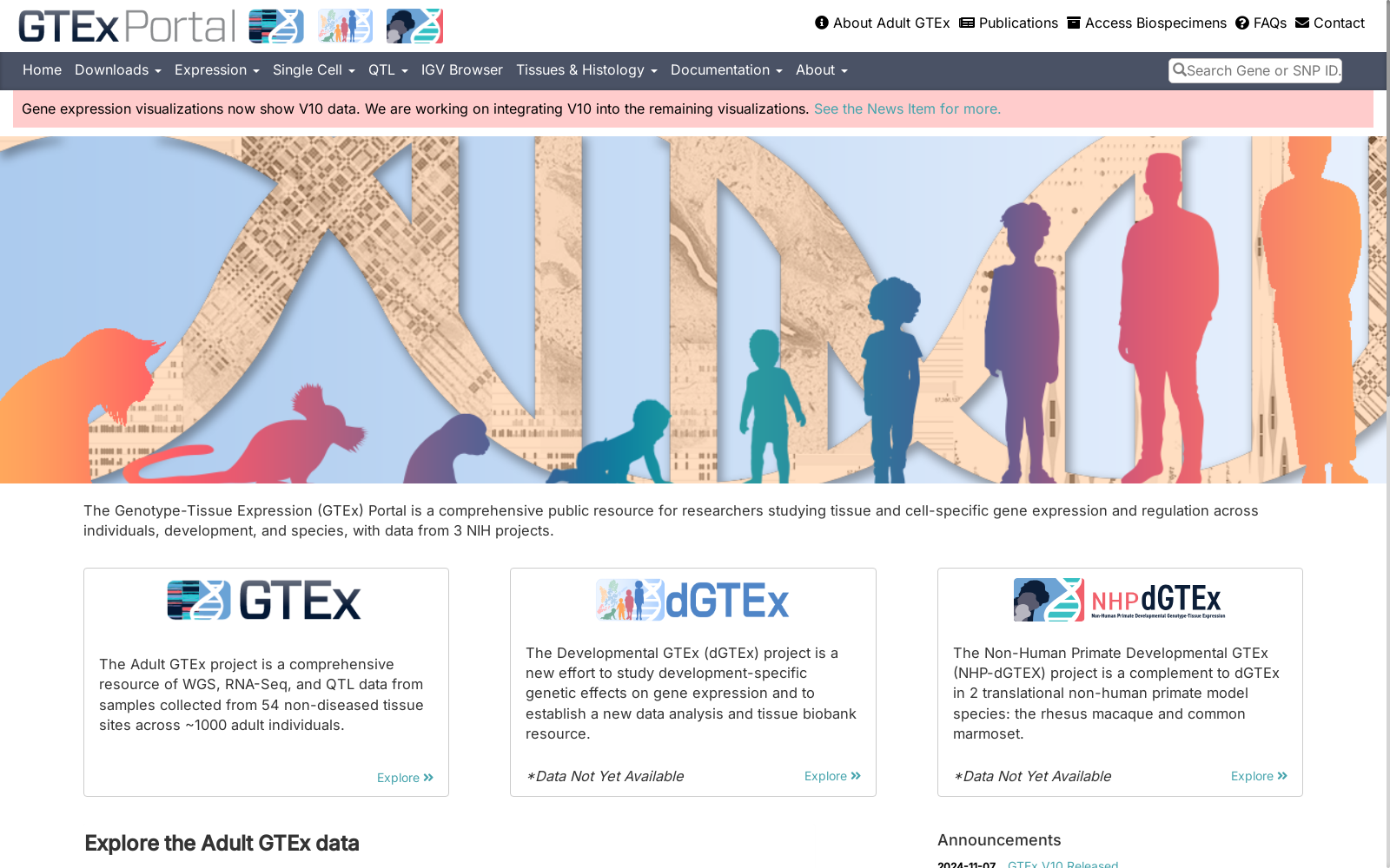 GTEX (Genotype-Tissue Expression)|基因表达数据集|组织特异性数据集